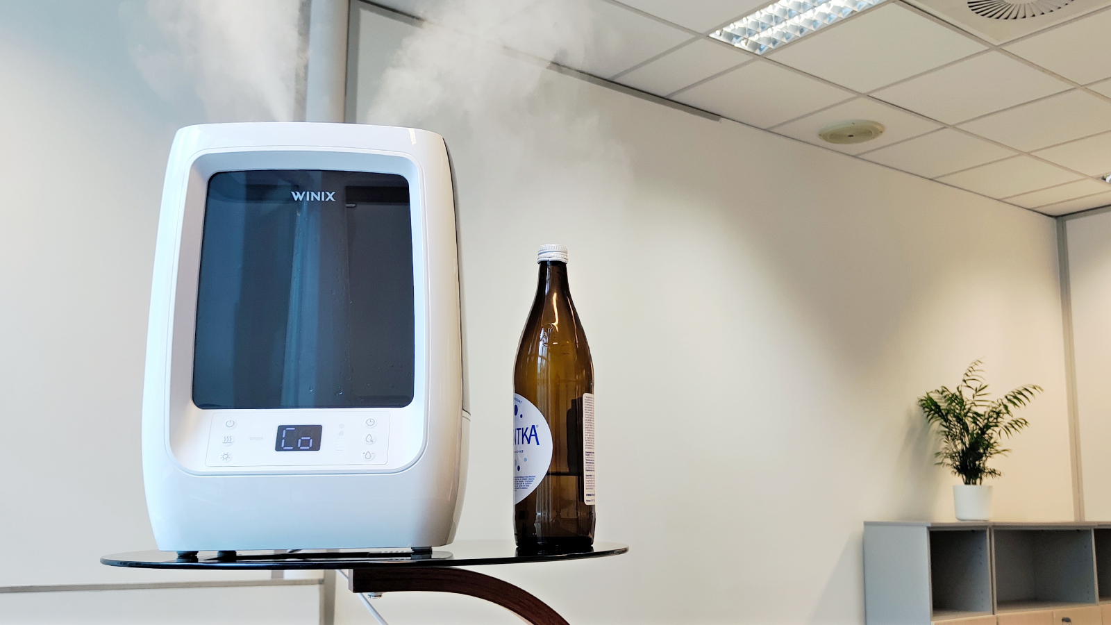 Vyskúšali sme: Zvlhčovač vzduchu a Vincentka | Pre Alergikov